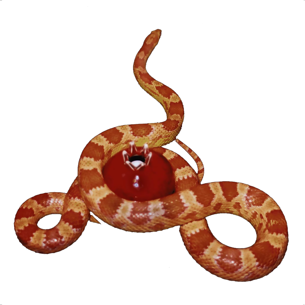 Dr. Annette Lyn Williams – The Lilith Institute