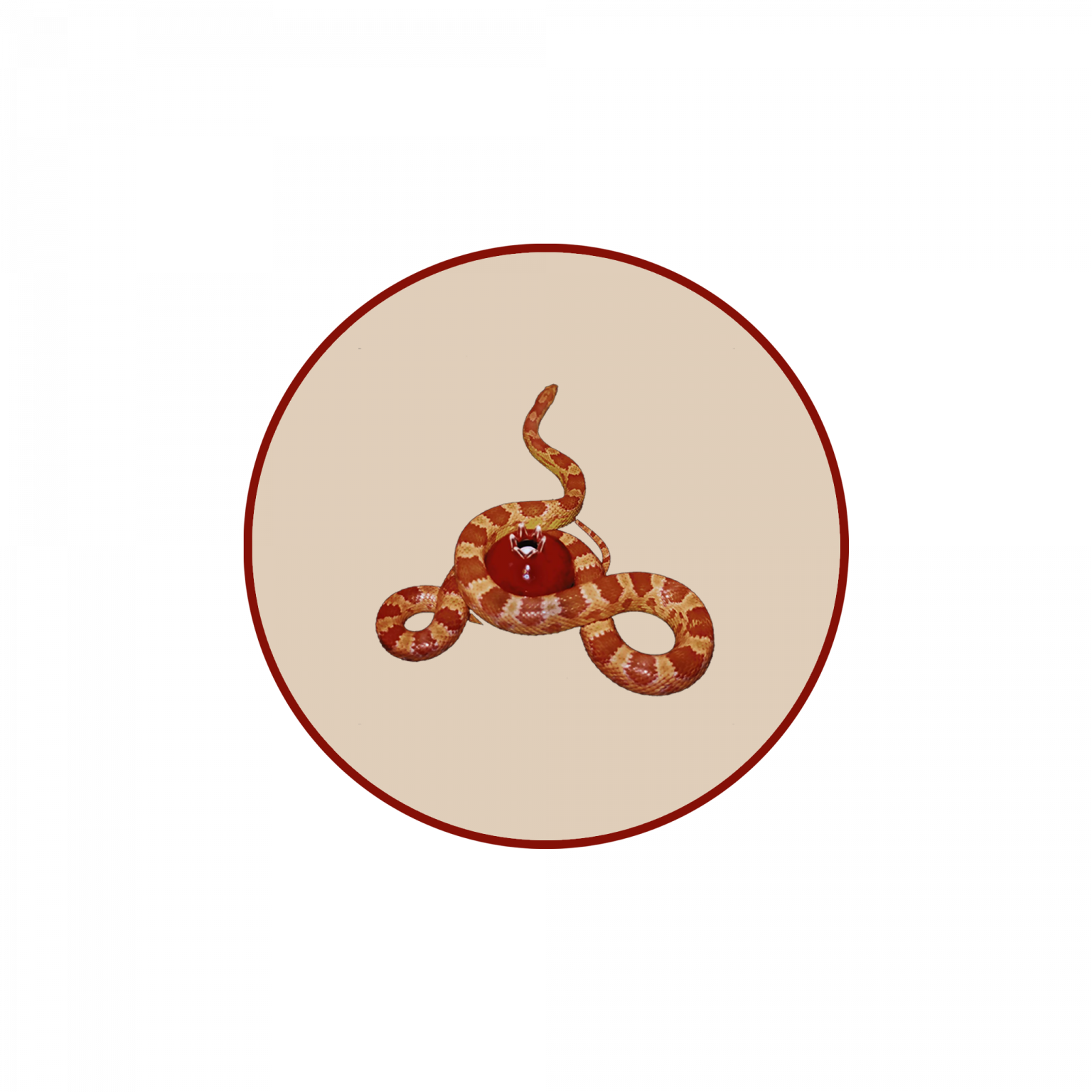 Snake Orig Blog circle 4 – The Lilith Institute